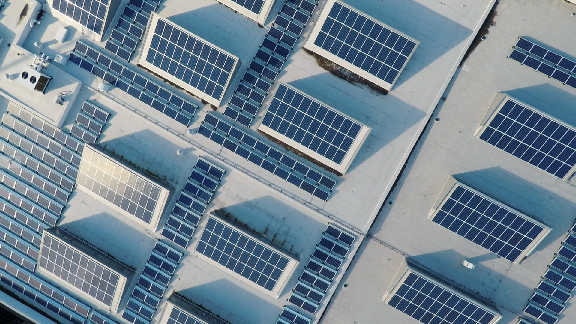 WILVO - CORPORATE - Wavepact